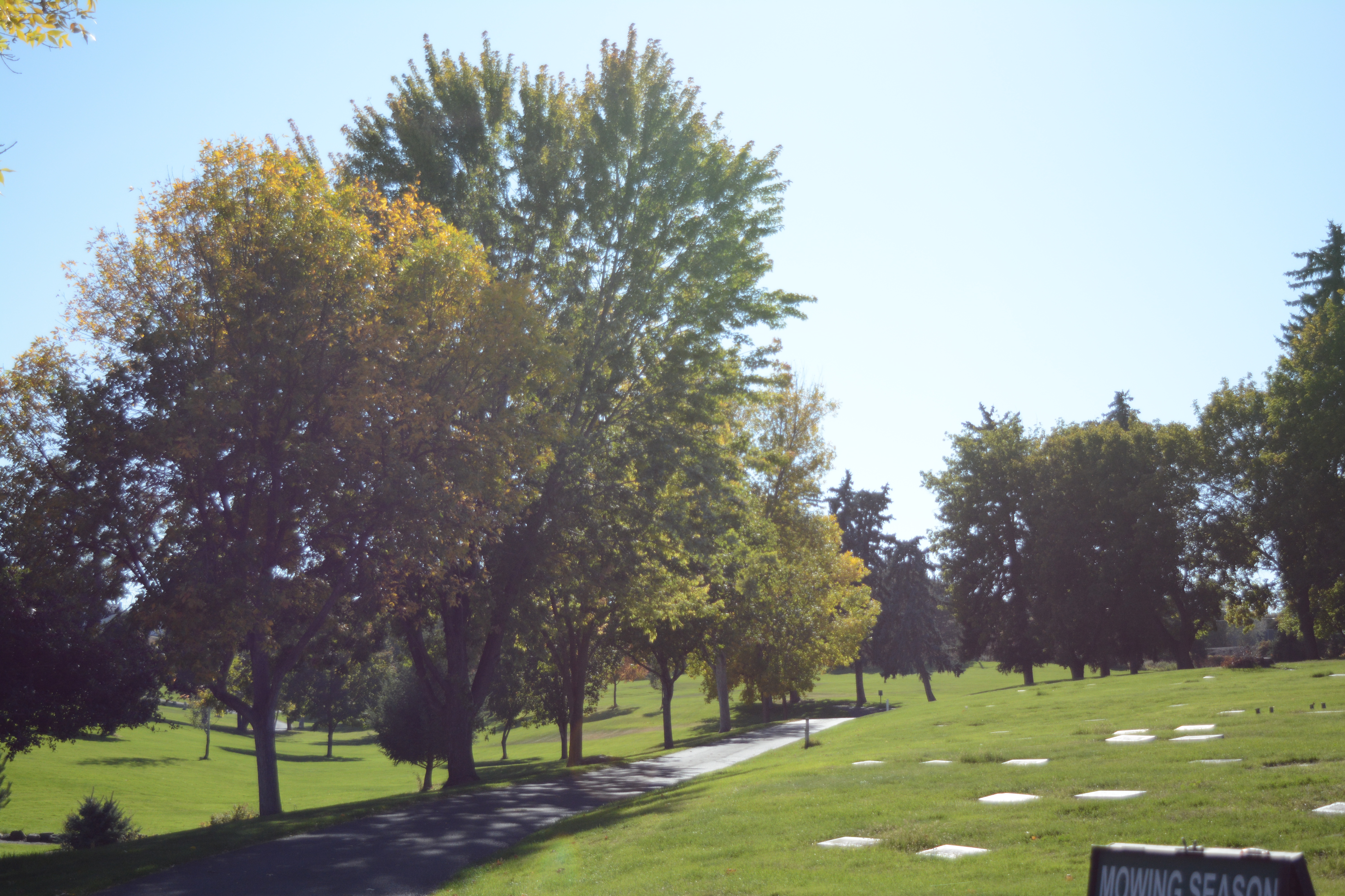 Burials at Olney Cemetery | Pendleton OR