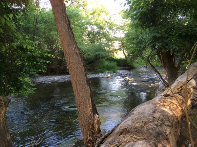 Pendleton River Parkway | Pendleton OR